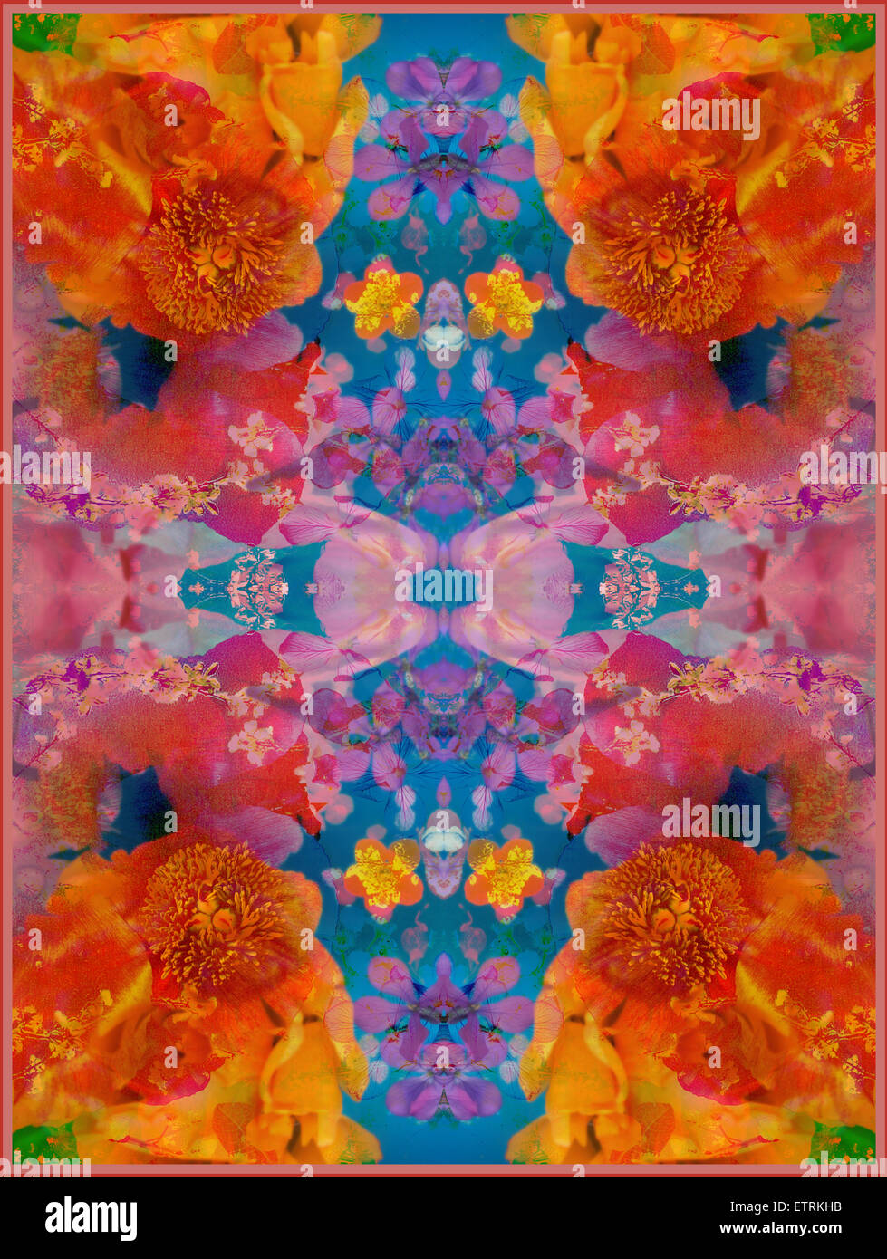 A Floral Montage, symmetric layer work from blooming flowers Stock ...