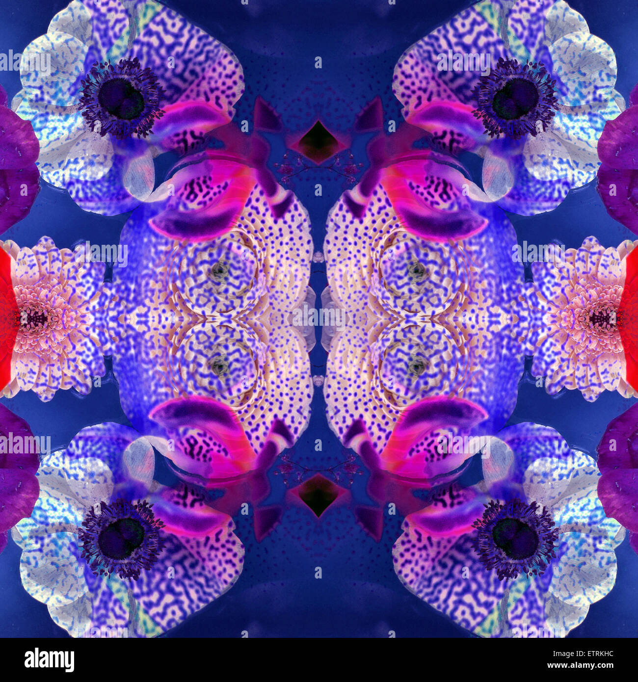 Layer work from flowers hi-res stock photography and images - Alamy