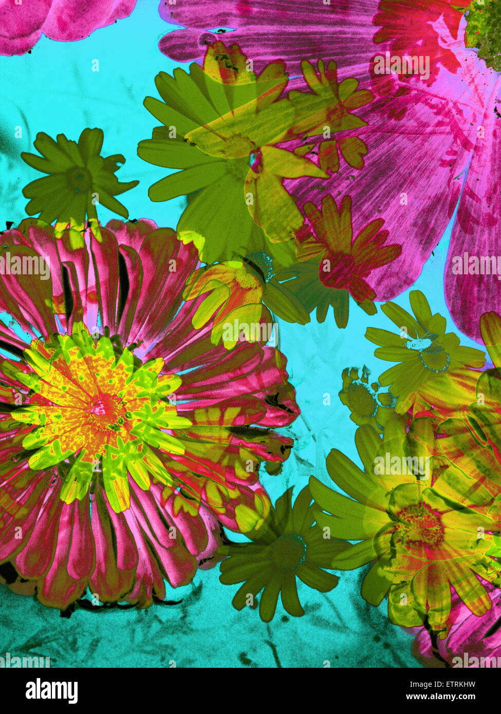 colorful photographic layer work of blossoms Stock Photo - Alamy