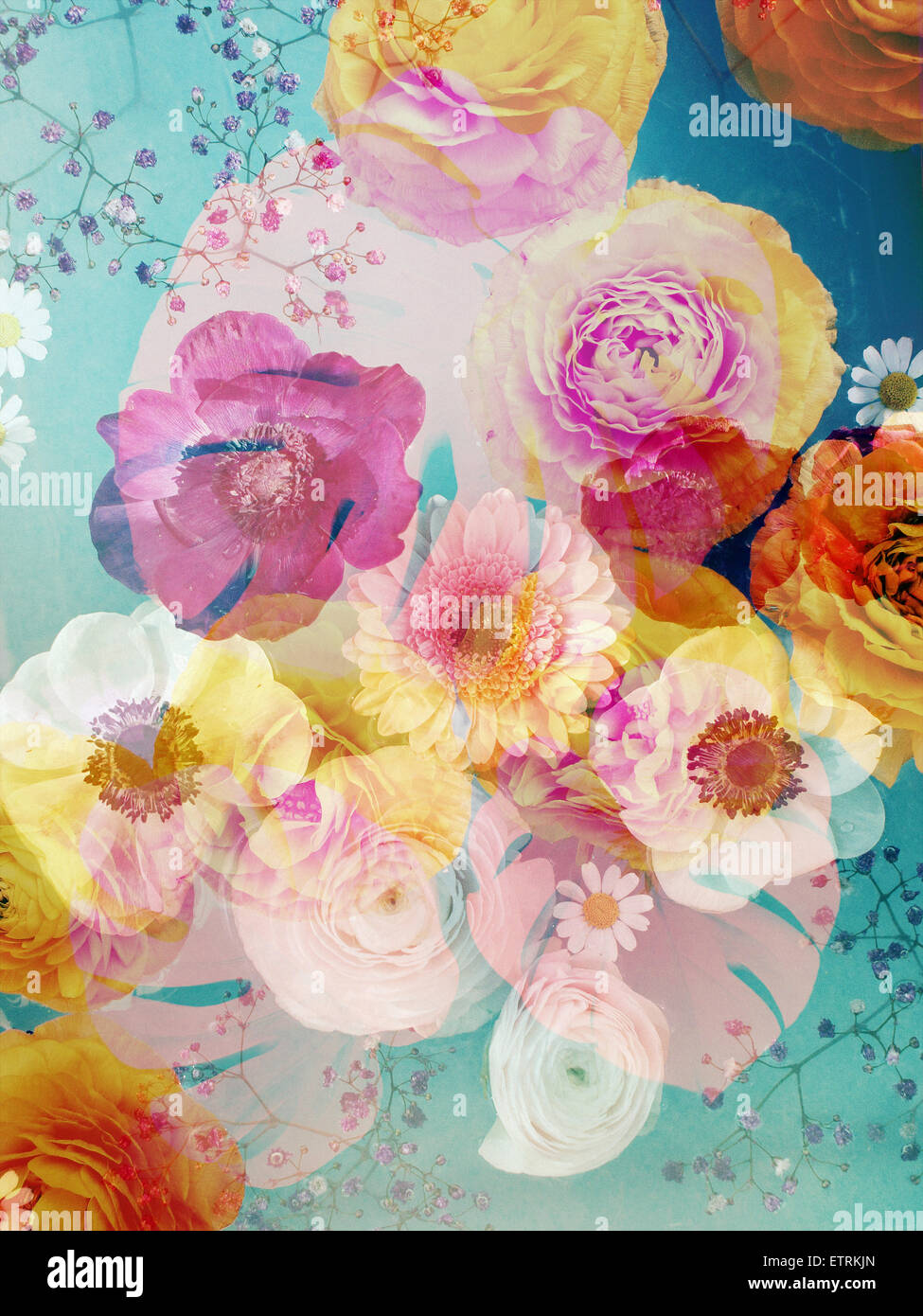 a floral montage with blossoms and ornaments from spring knots Stock ...