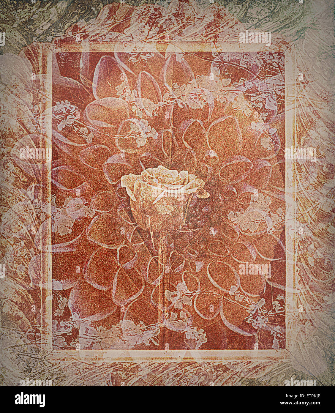 single rose in earthy colors vintage style in frame, photographic layer ...
