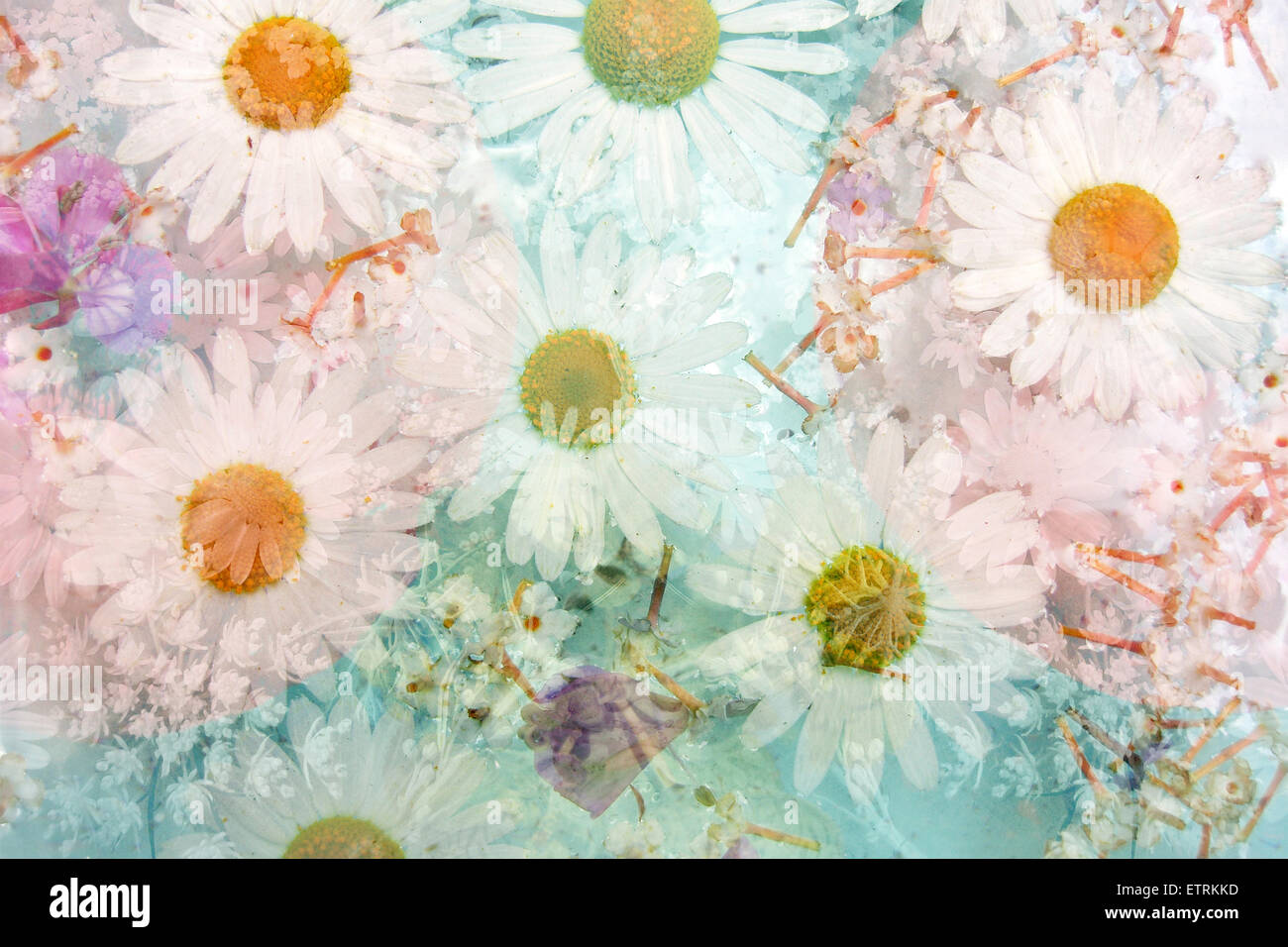 impressionistic floral montage Stock Photo - Alamy