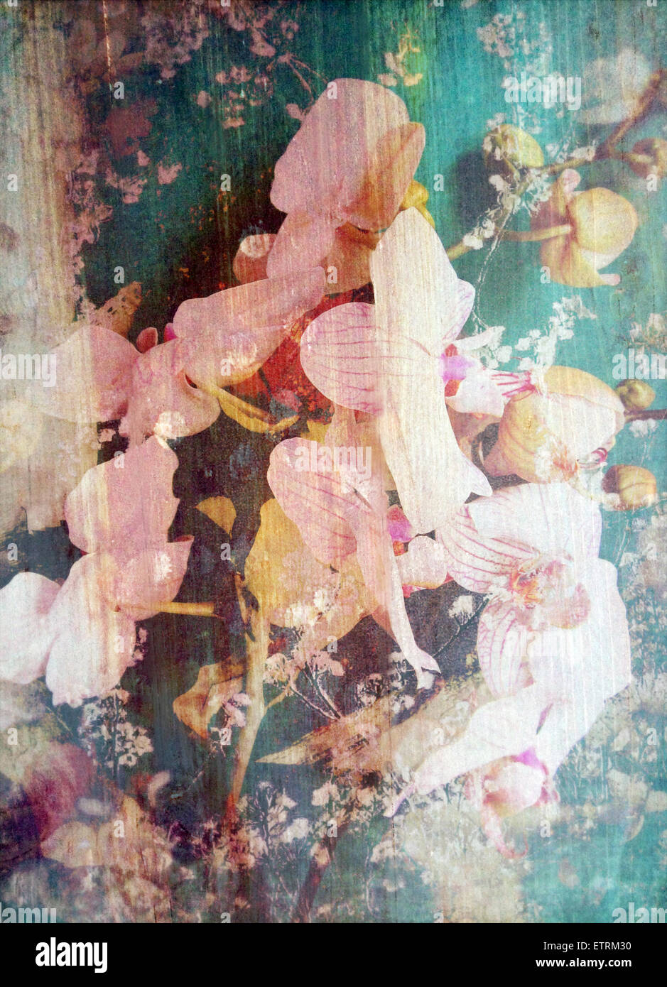 Photographic layer work hi-res stock photography and images - Alamy