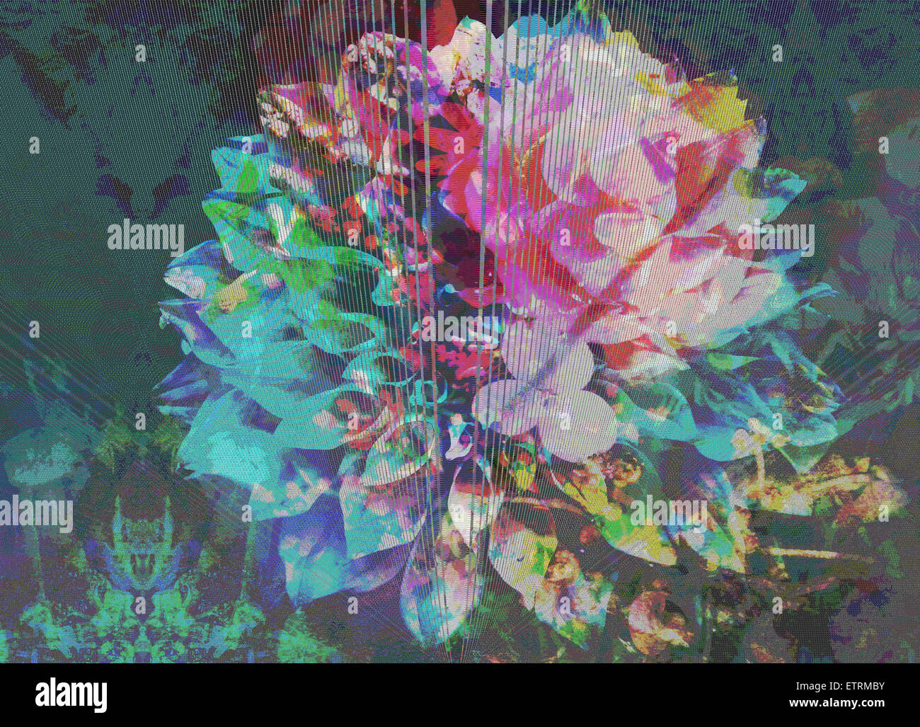 A Floral Montage Stock Photo - Alamy