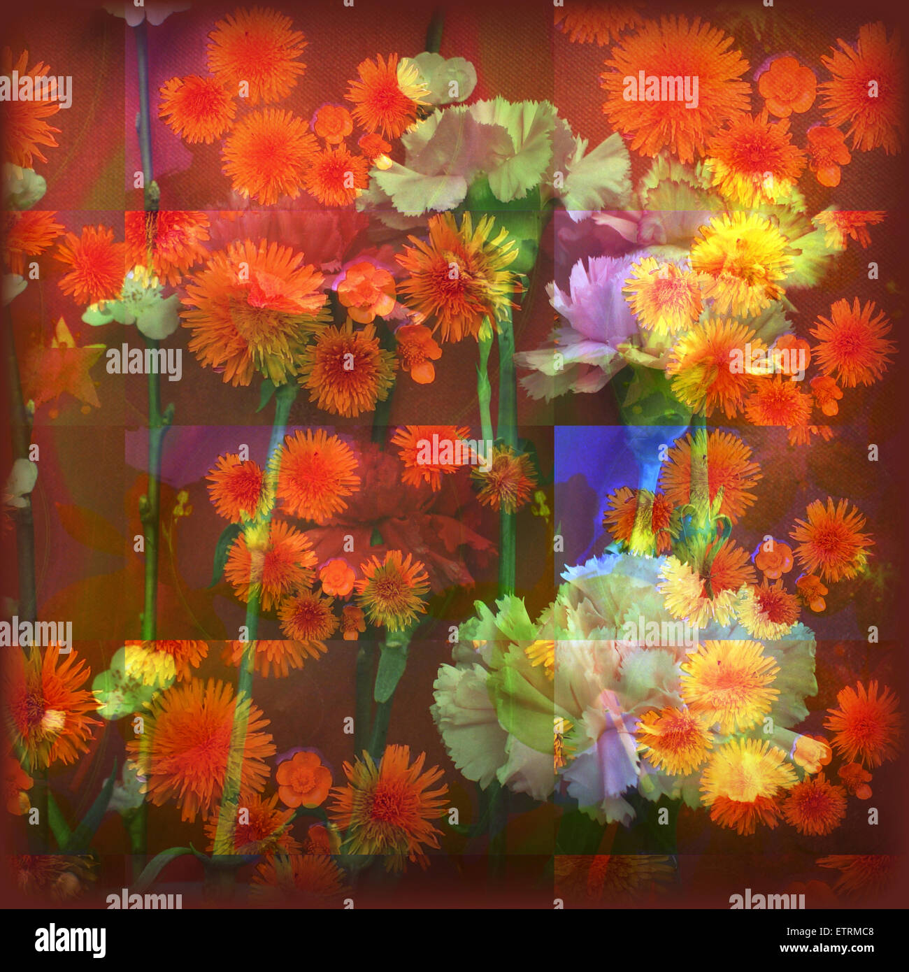 Geometric floral hi-res stock photography and images - Alamy