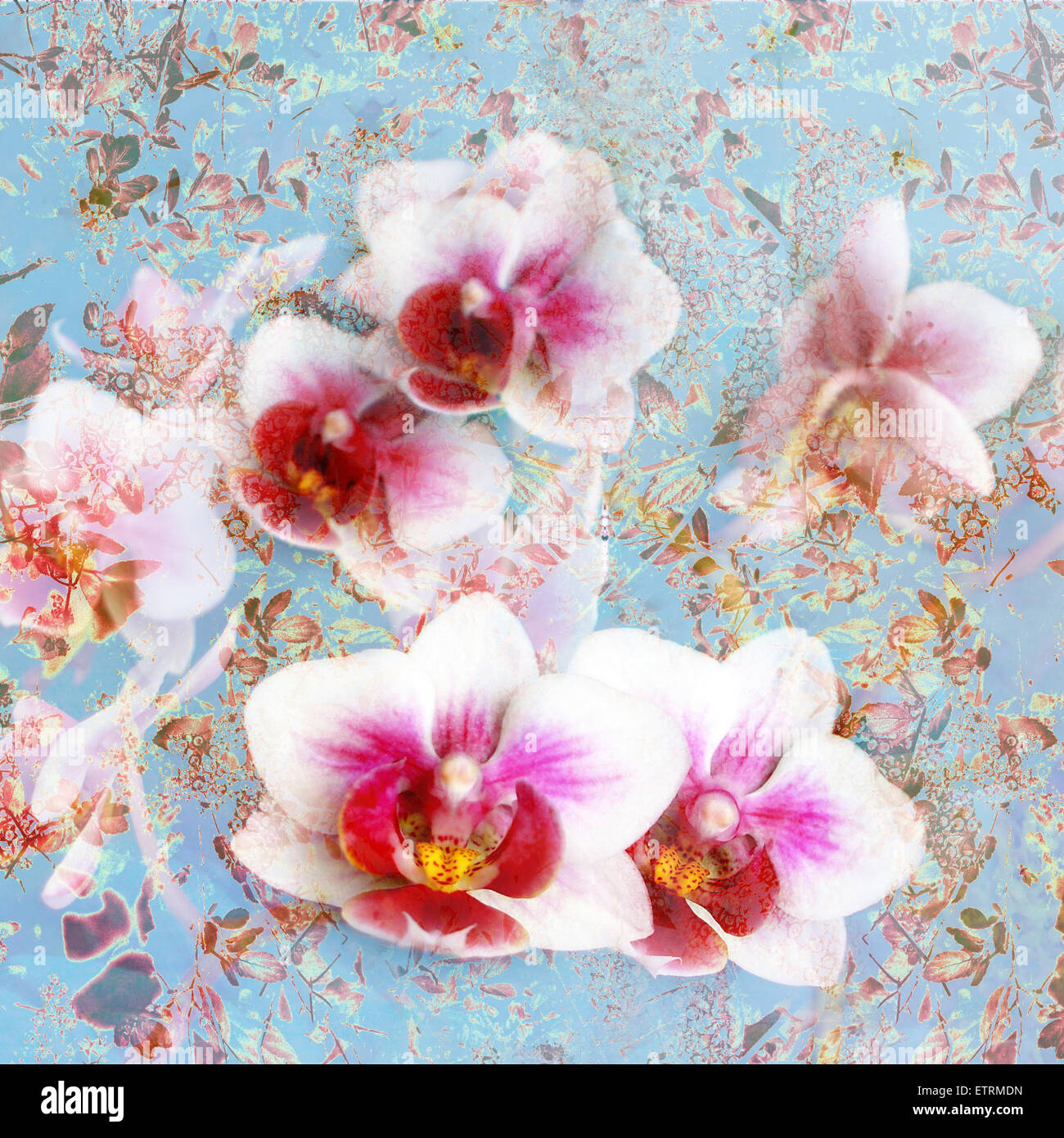 A Floral Montage Stock Photo - Alamy