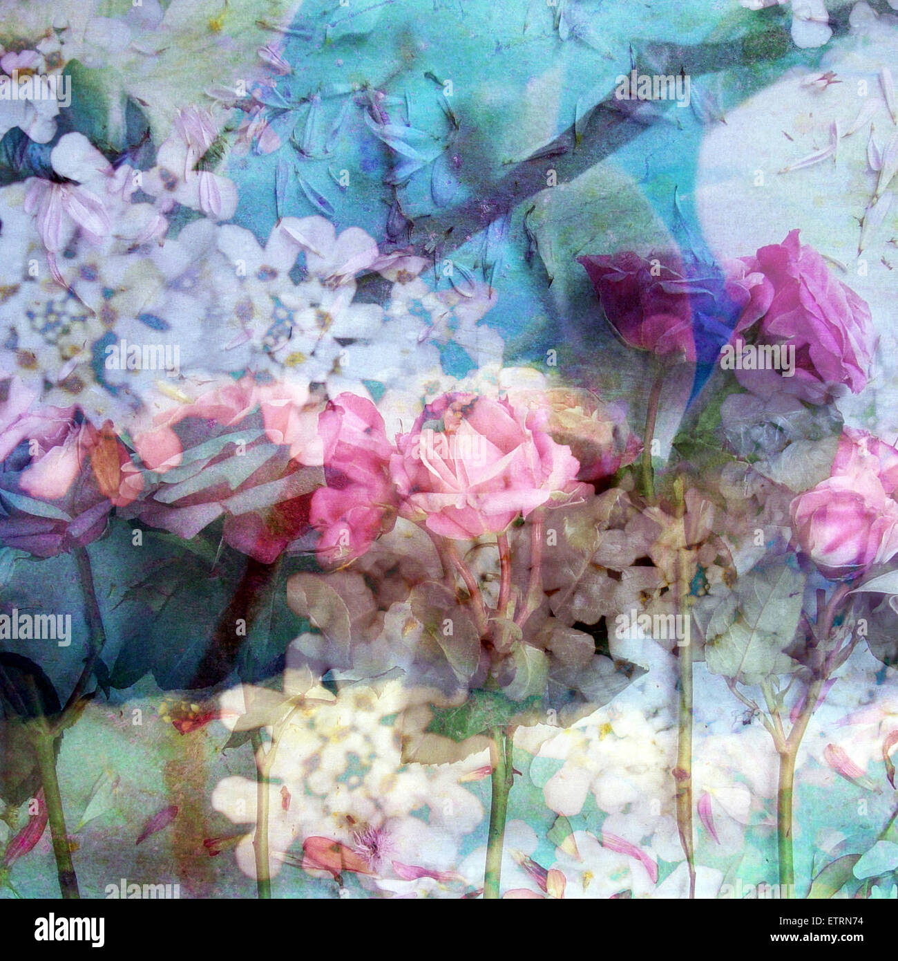 Layer work from flowers hi-res stock photography and images - Alamy