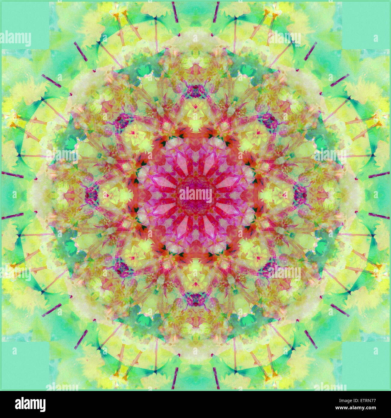 Symmetric hi-res stock photography and images - Alamy