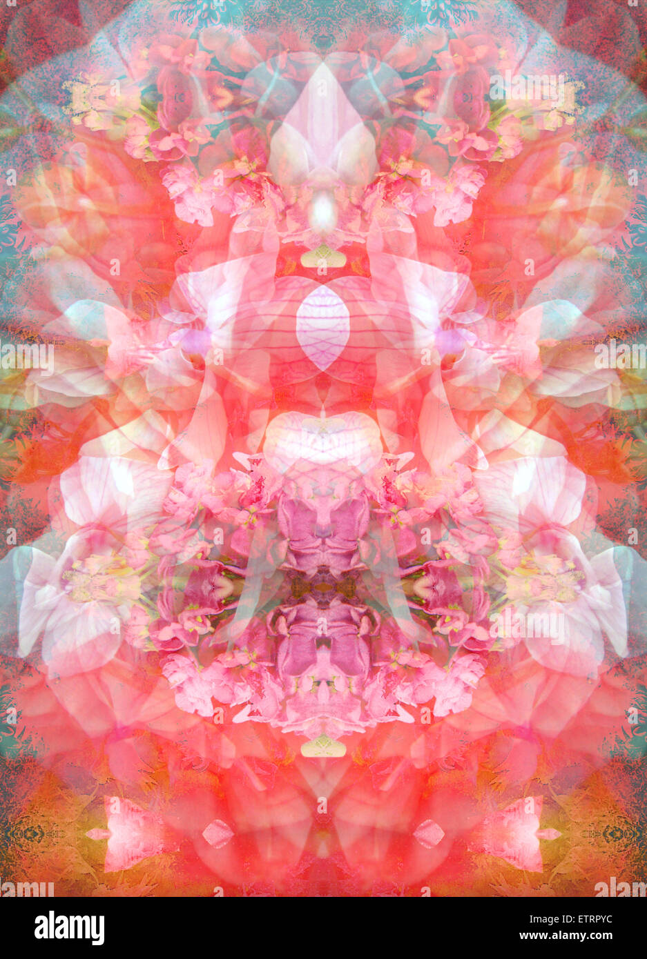 Photographic layer work hi-res stock photography and images - Alamy