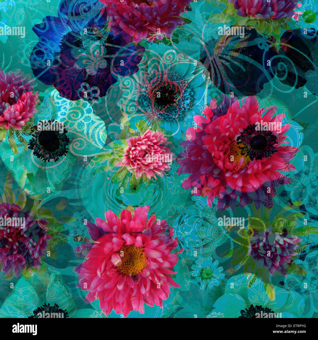 A Floral Montage from blossoms and drawing Stock Photo - Alamy