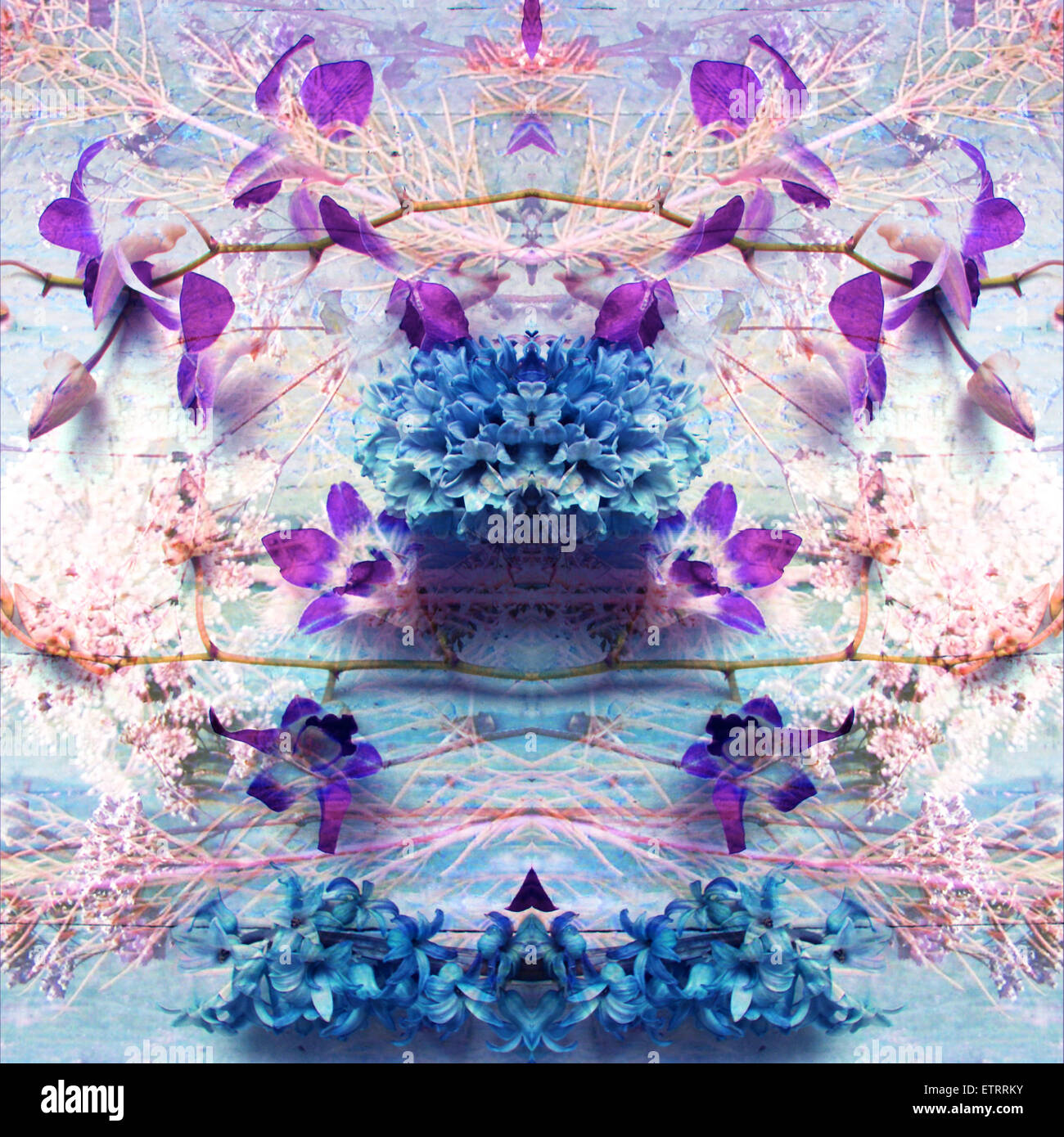 A Floral Montage Stock Photo - Alamy