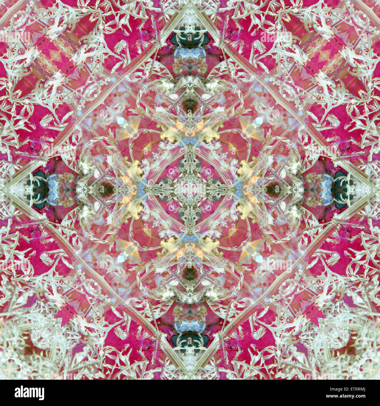 Photograph layer work hi-res stock photography and images - Alamy