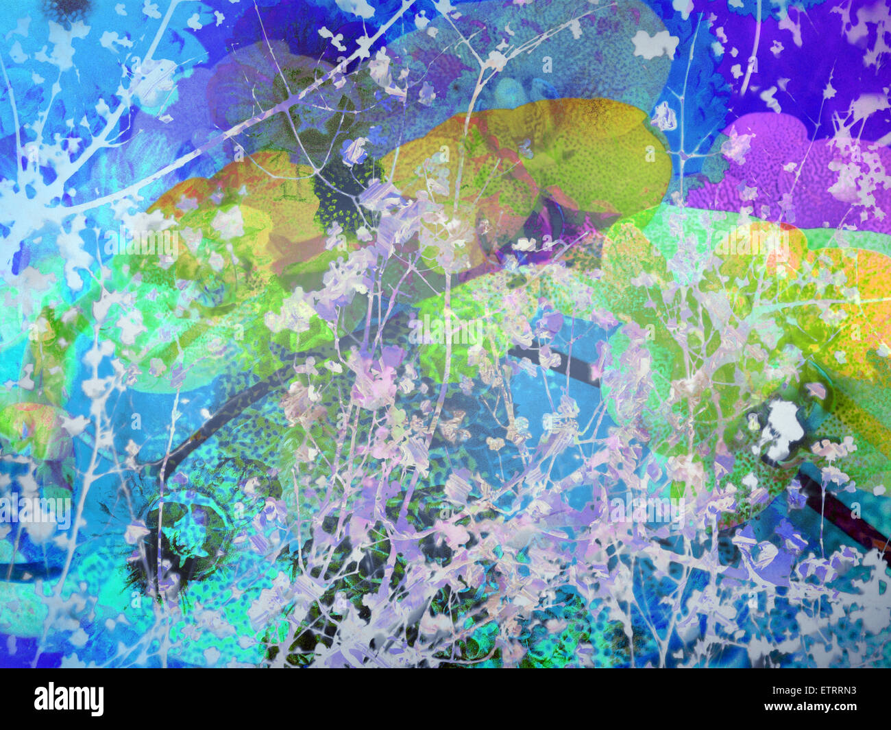 Abstract floral hi-res stock photography and images - Alamy