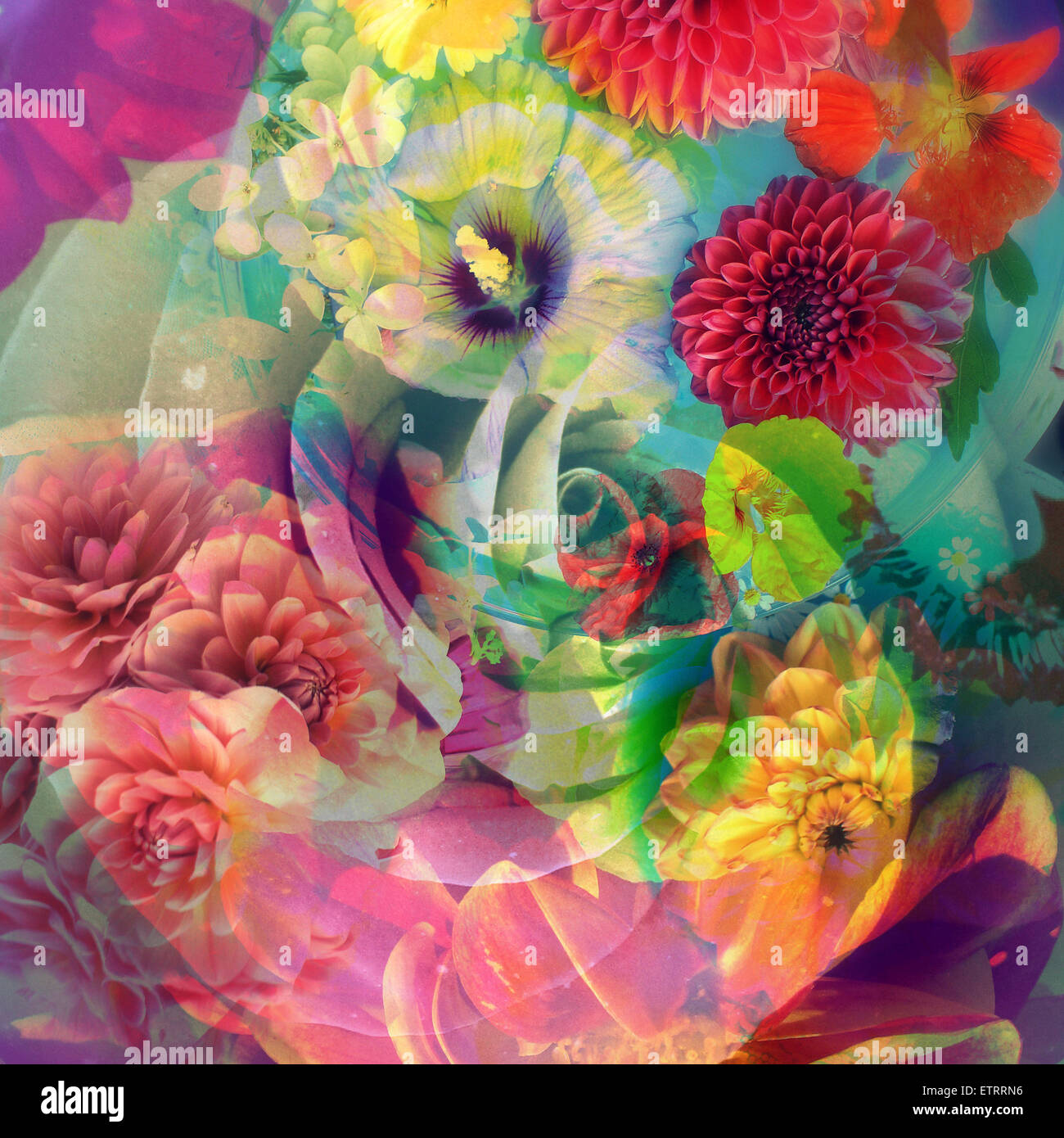 Layered photographs hi-res stock photography and images - Alamy