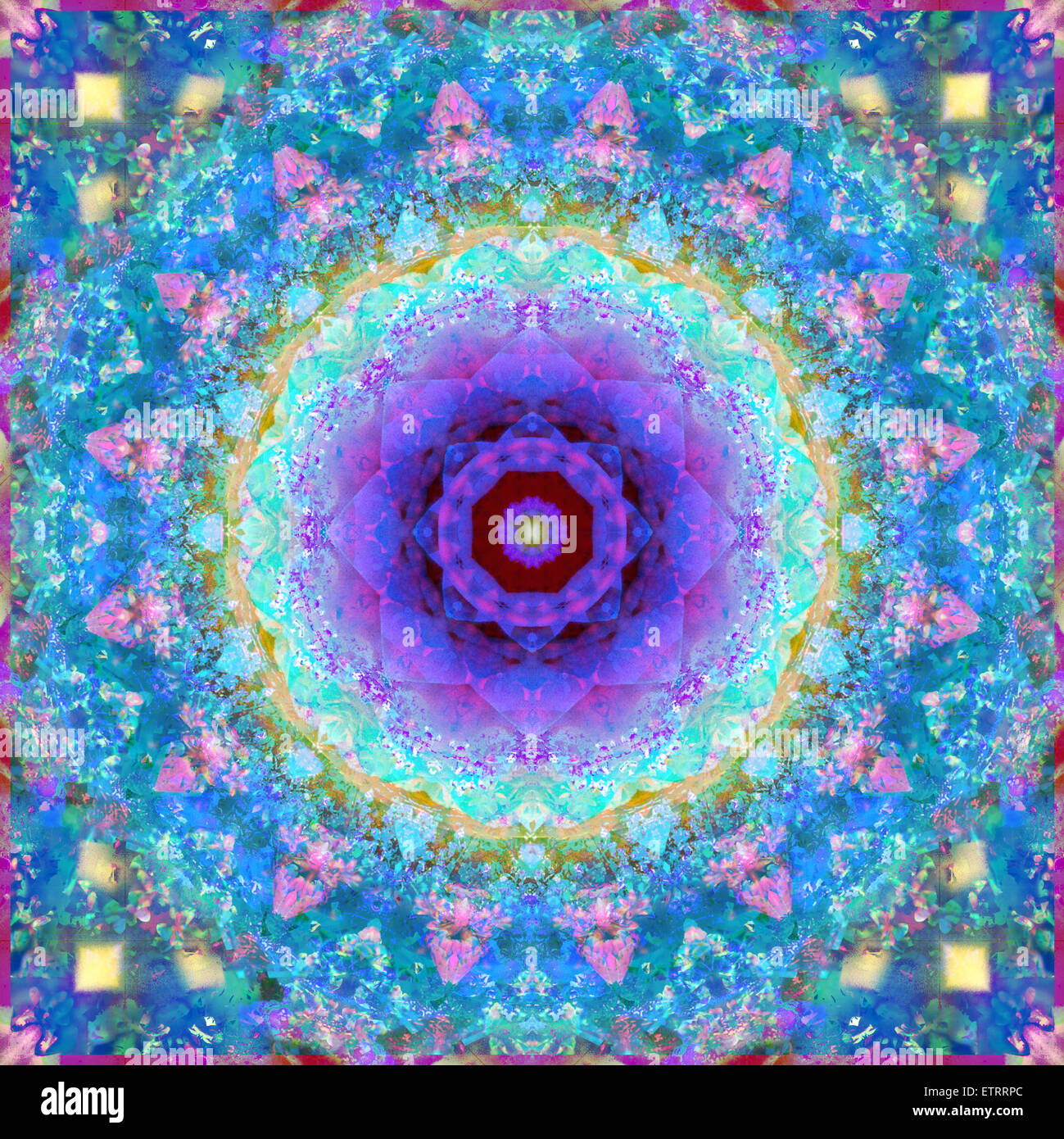 dreamy photographic layer work of flowers, floral montage Stock Photo ...
