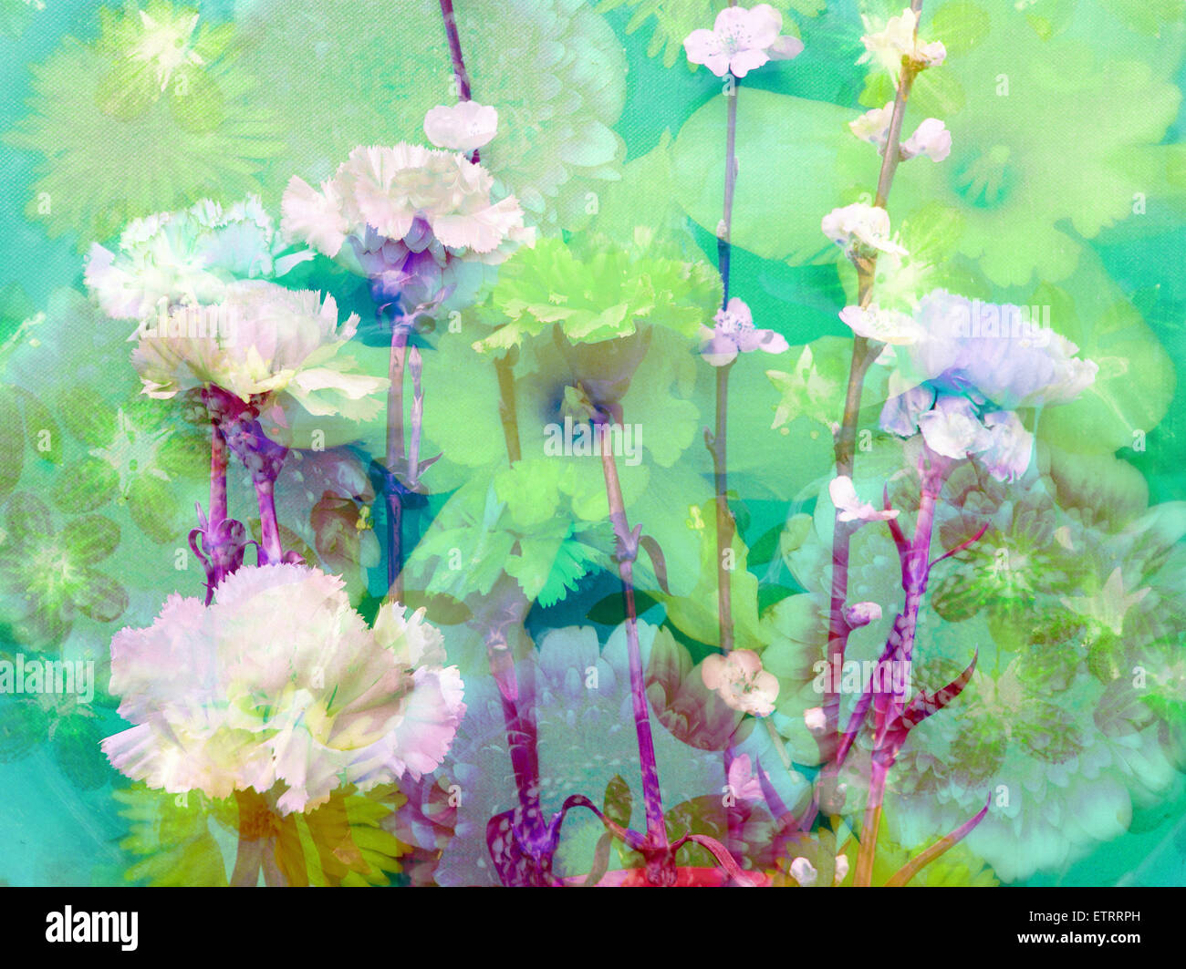 A Floral Montage Stock Photo - Alamy