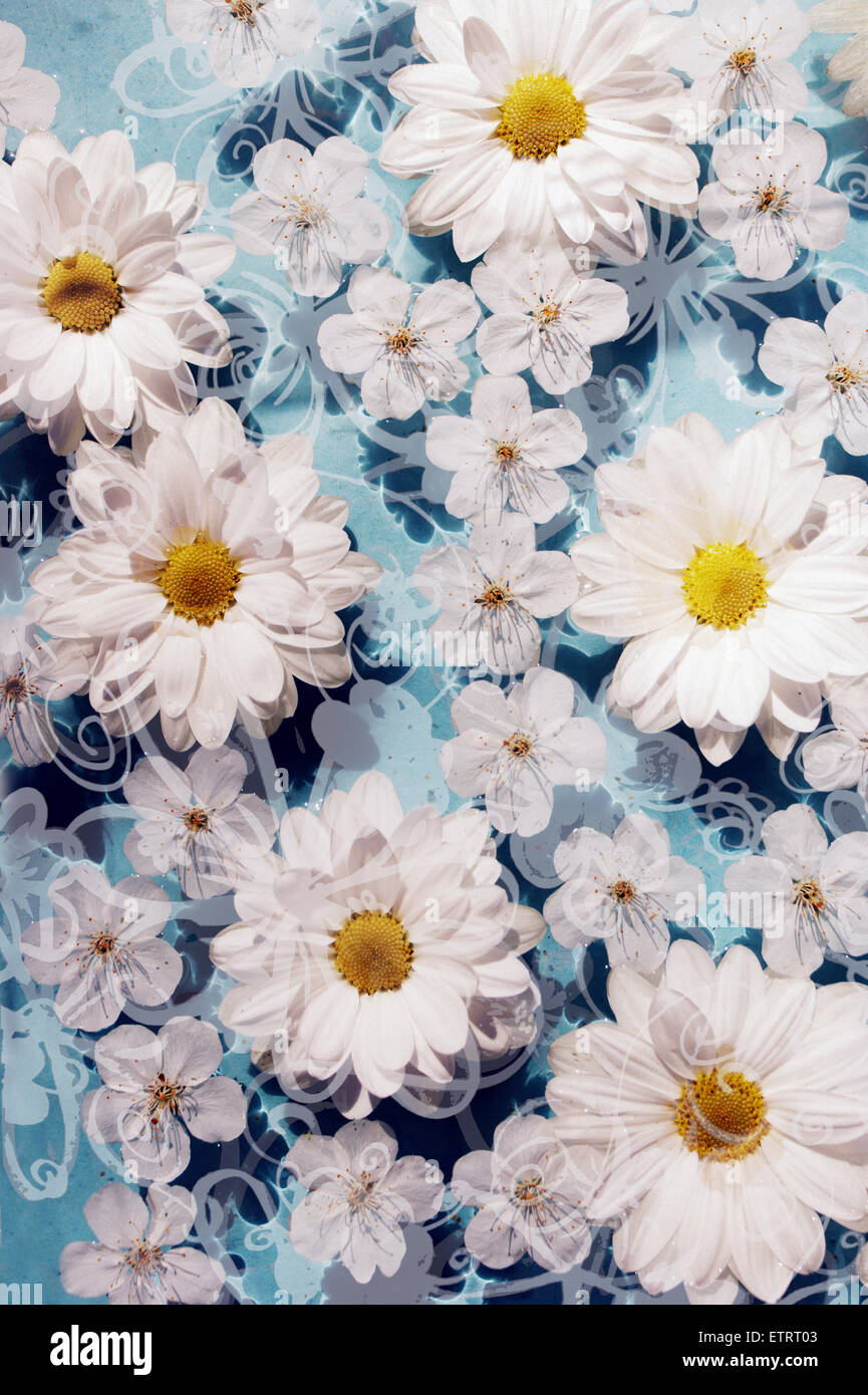 composition with flowers Stock Photo - Alamy
