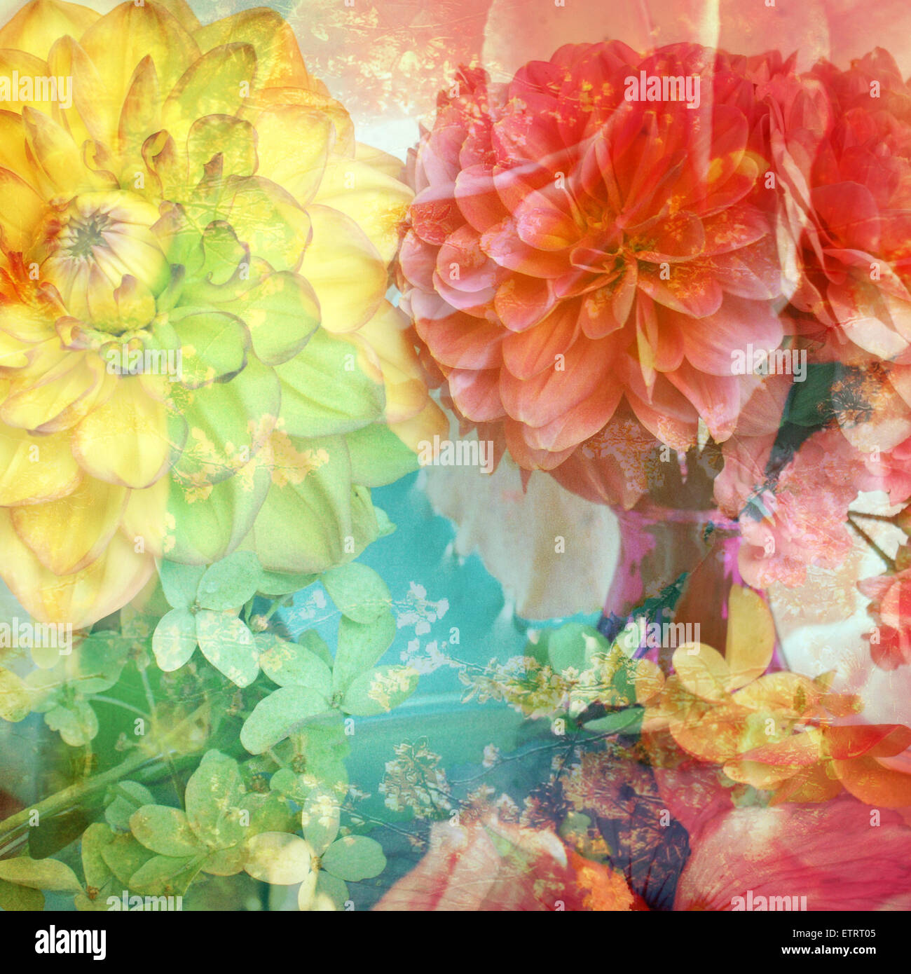 photographic layer work from flowers Stock Photo - Alamy