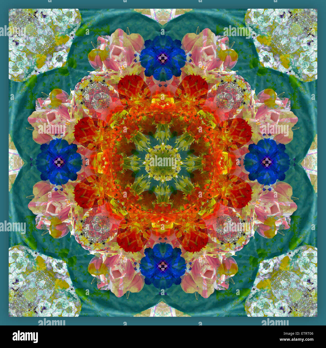 A Flower Mandala Stock Photo - Alamy