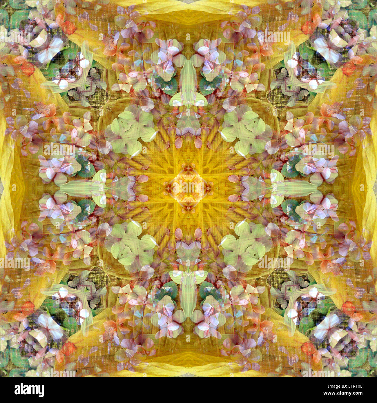 A Floral Montage with leafes Stock Photo - Alamy