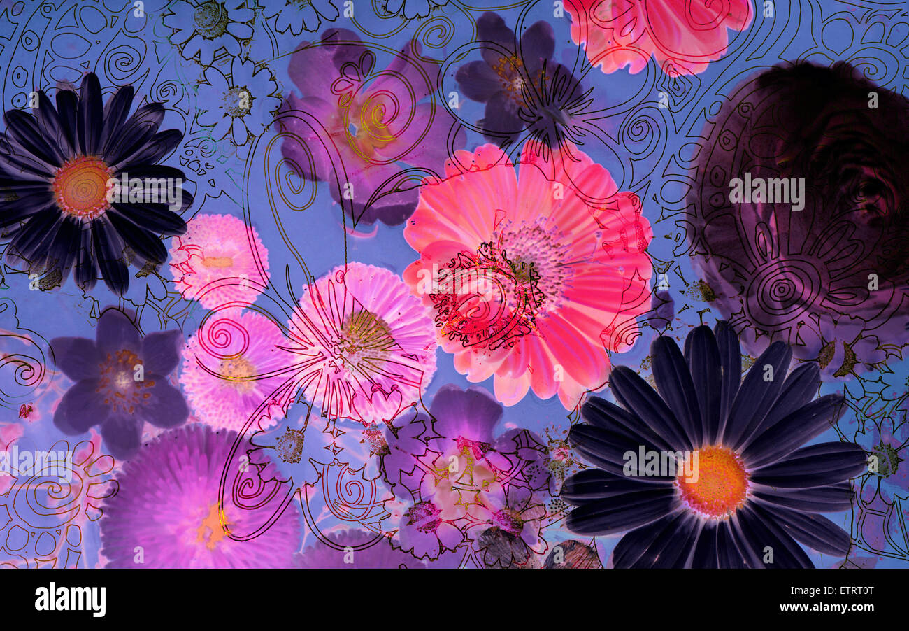 colorful floral design Stock Photo - Alamy