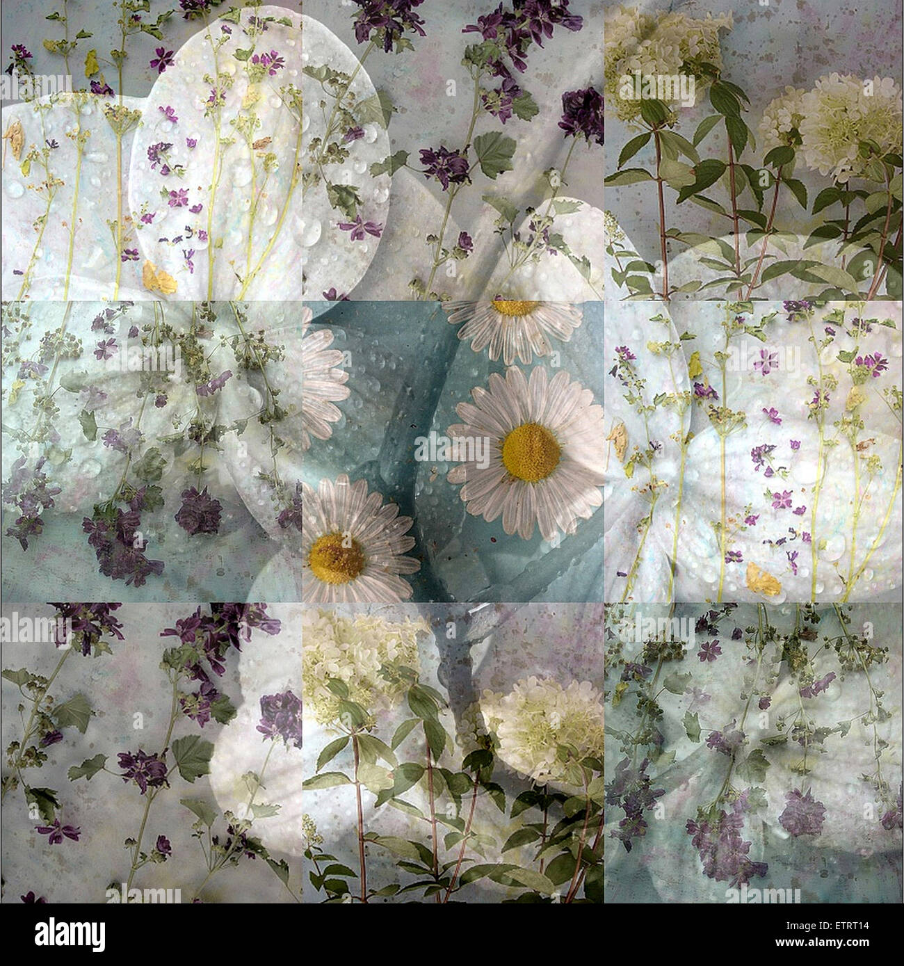 a floral montage Stock Photo - Alamy
