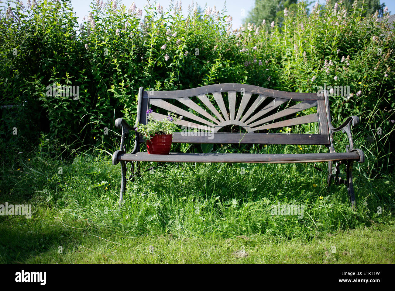 bench, garden, summer, countryside, Sweden, Dalarna Stock Photo - Alamy