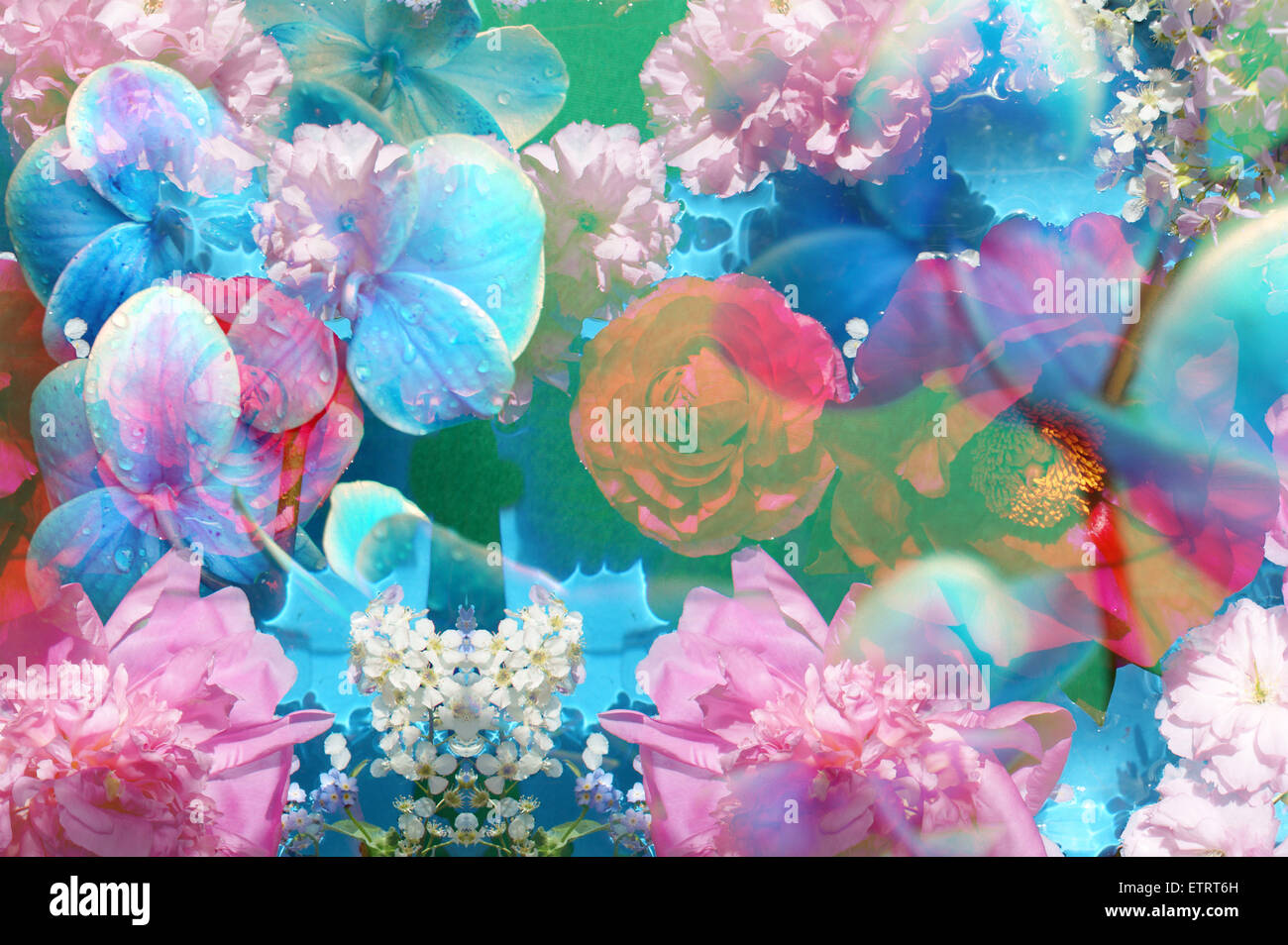 Photographic layer work hi-res stock photography and images - Alamy