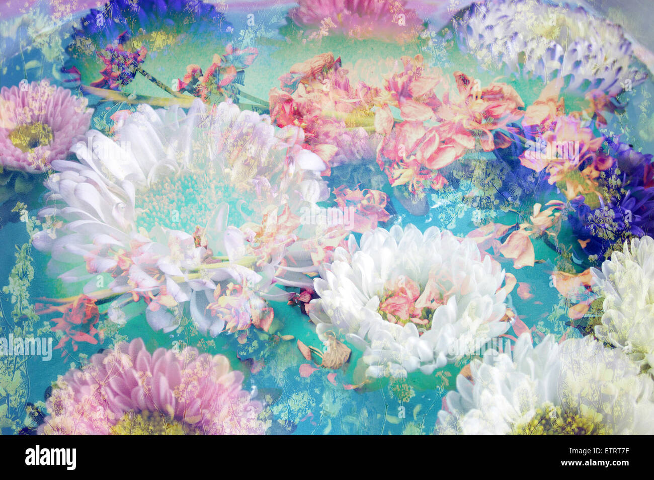 impressionistic floral montage Stock Photo - Alamy