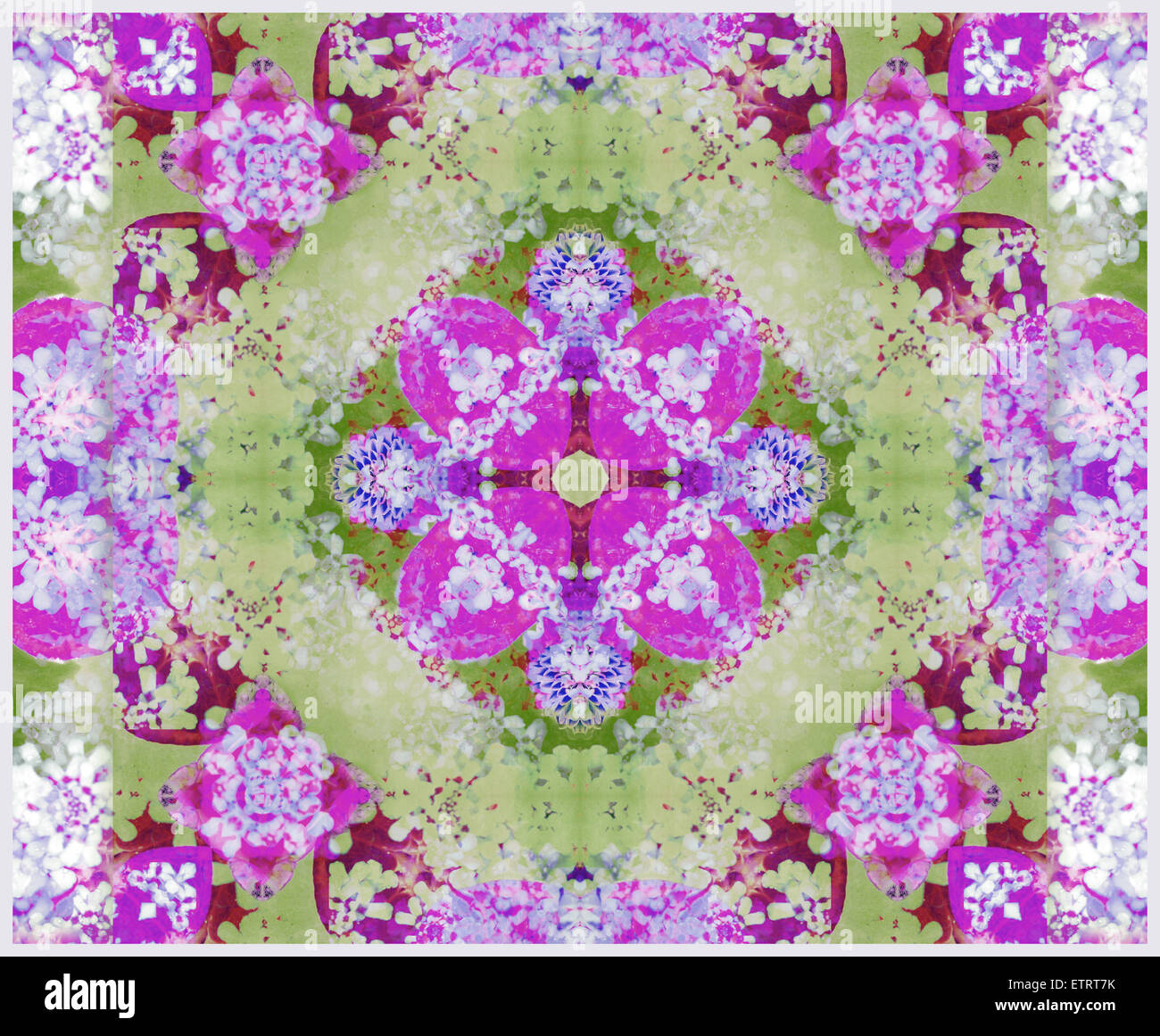 A Floral Montage Stock Photo - Alamy