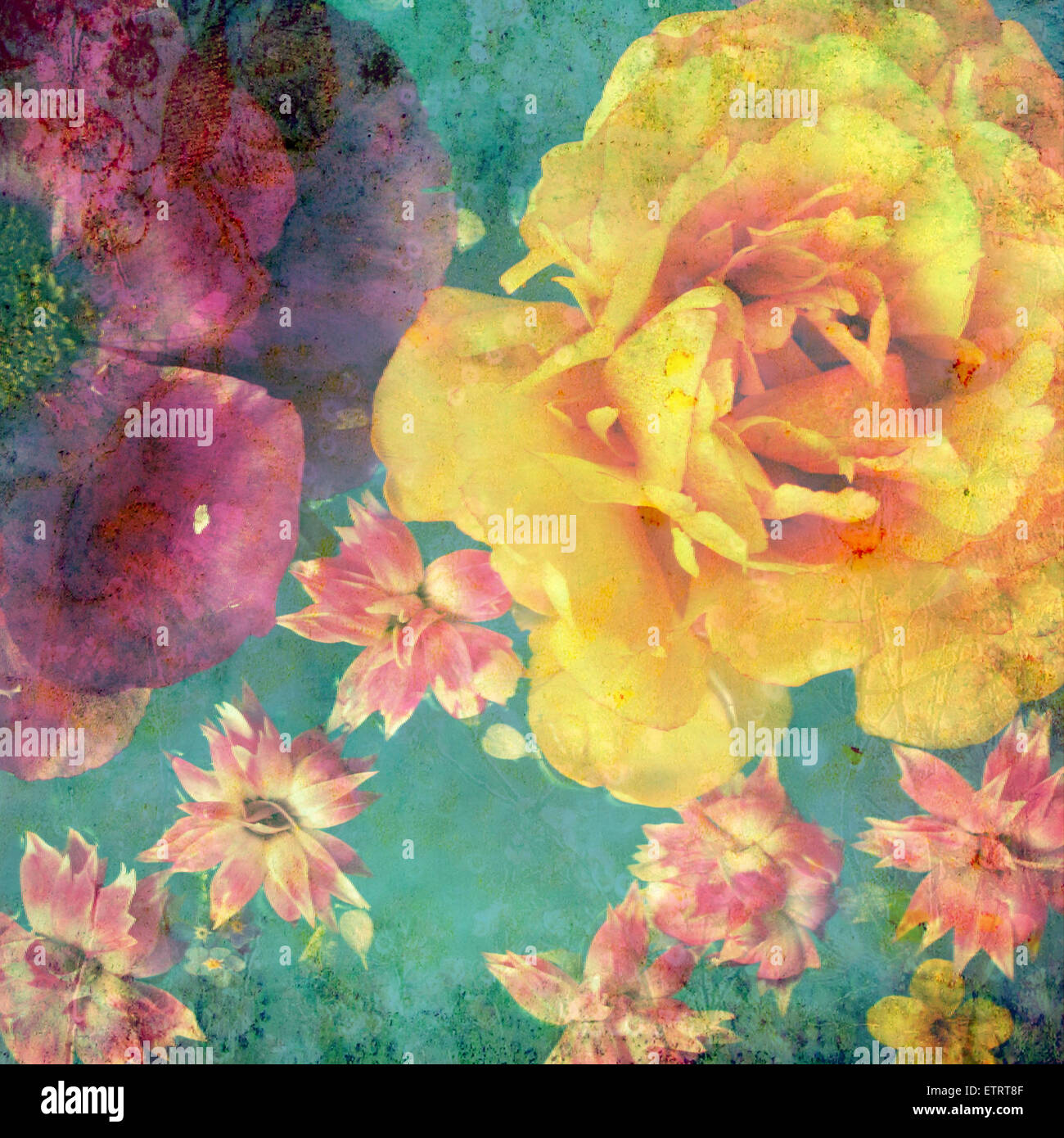 floral montage, photographic layer work from flowers and texture Stock ...