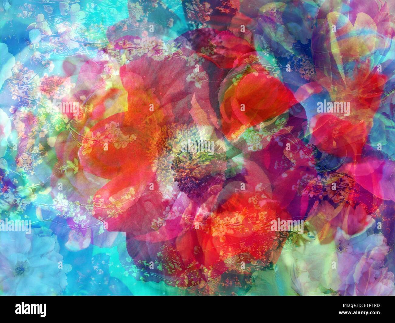 A Floral Montage Stock Photo - Alamy