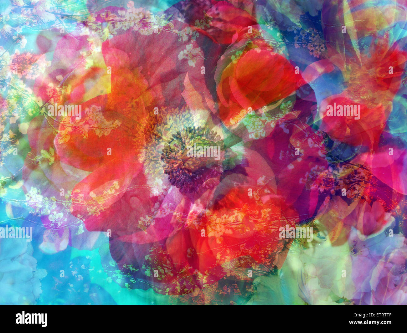 Natural montage hi-res stock photography and images - Alamy