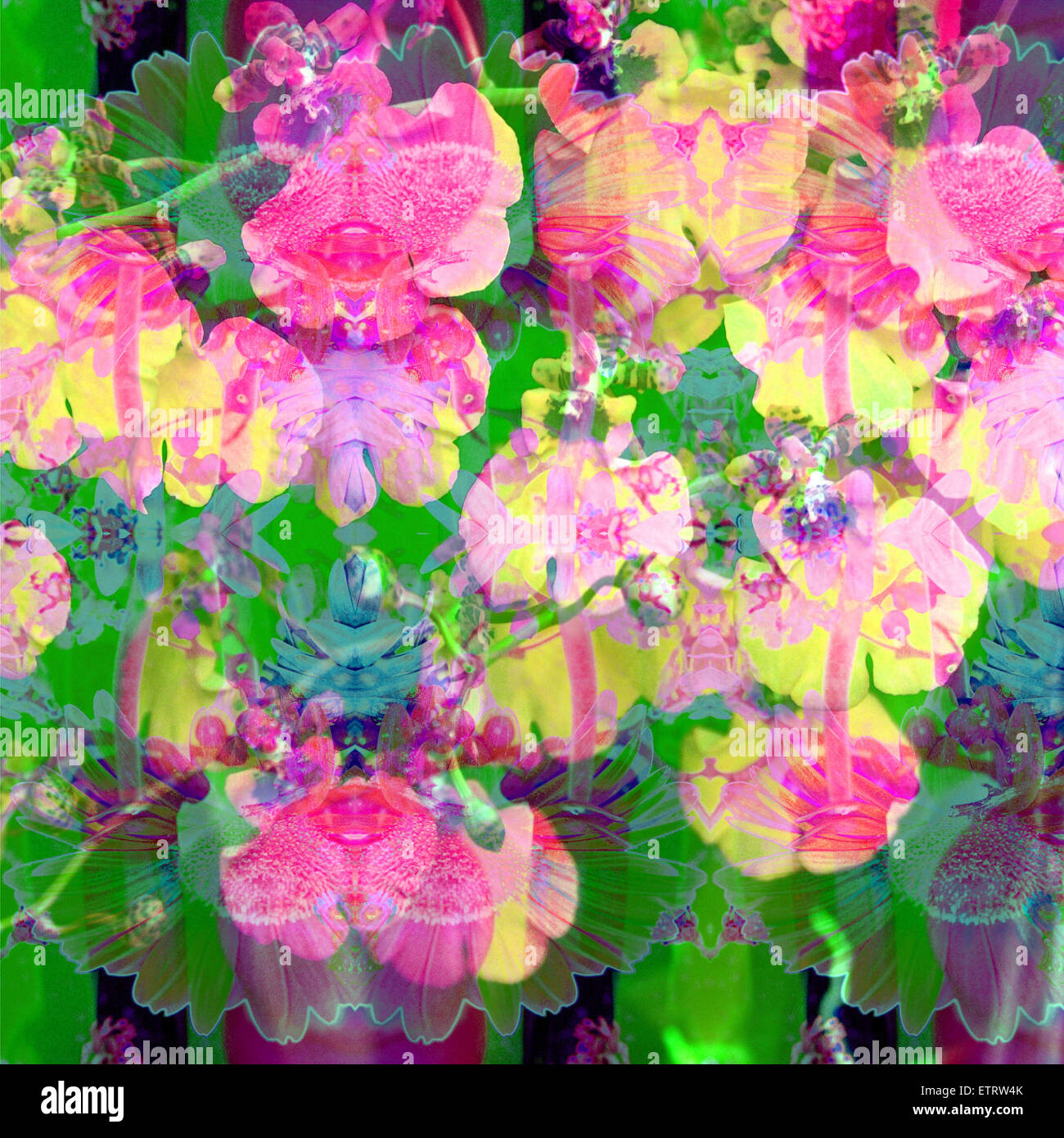 Photographic layer work hi-res stock photography and images - Alamy