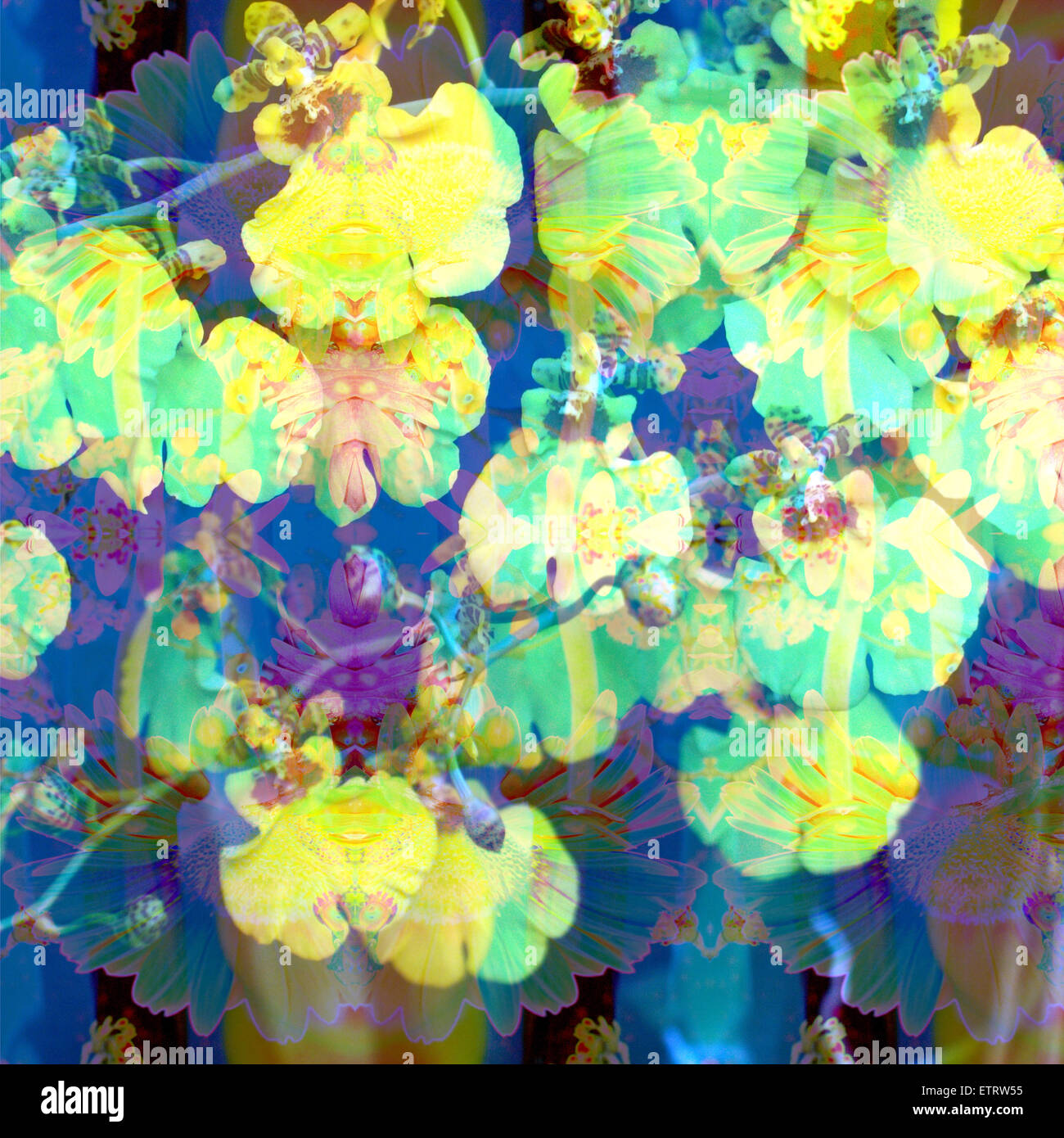 photographic layer work from orchids and floral ornaments Stock Photo ...