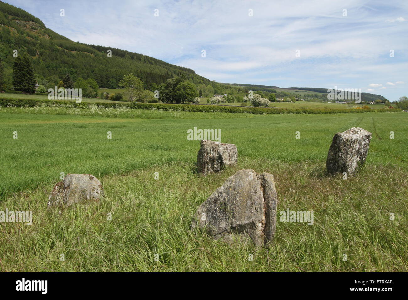 Carse hi-res stock photography and images - Alamy