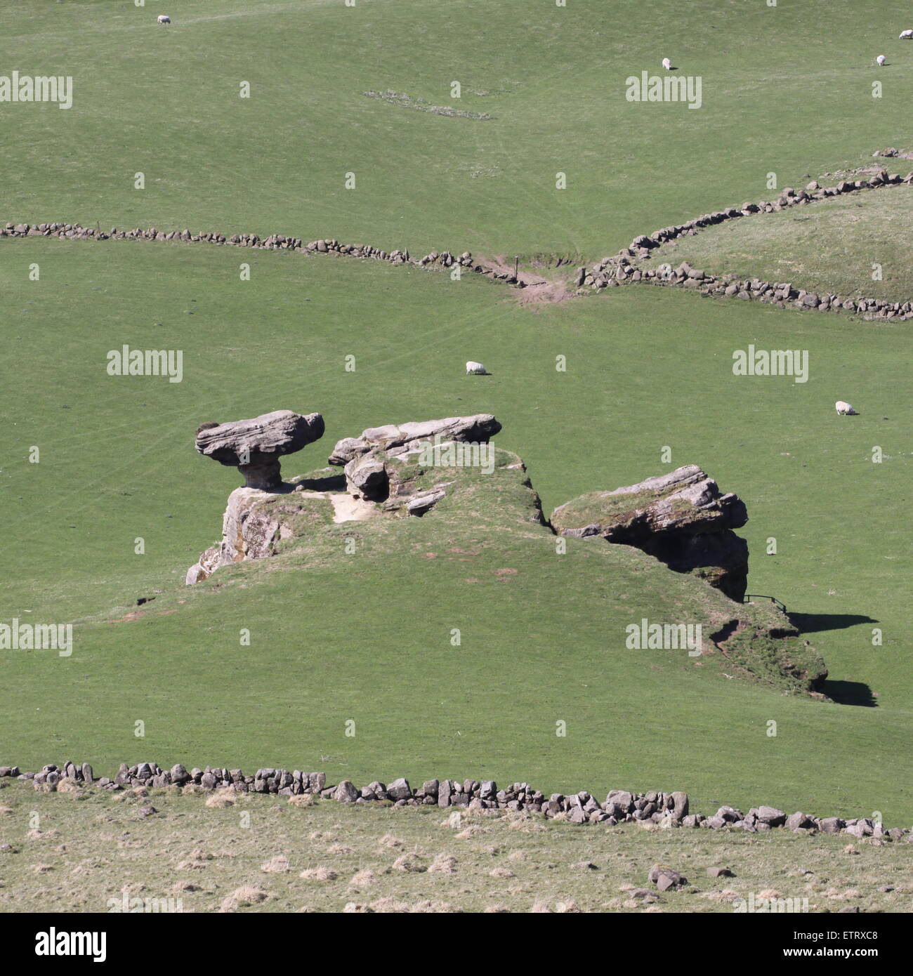 Elevated view of The Bunnet stone eroded sandstone Fife Scotland April ...