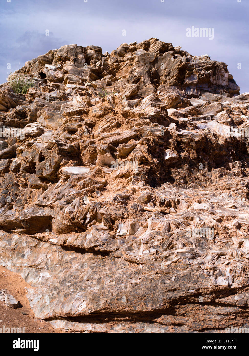 Close-up image of selenite crystals (gypsum, calcium sulfate) at Glass ...