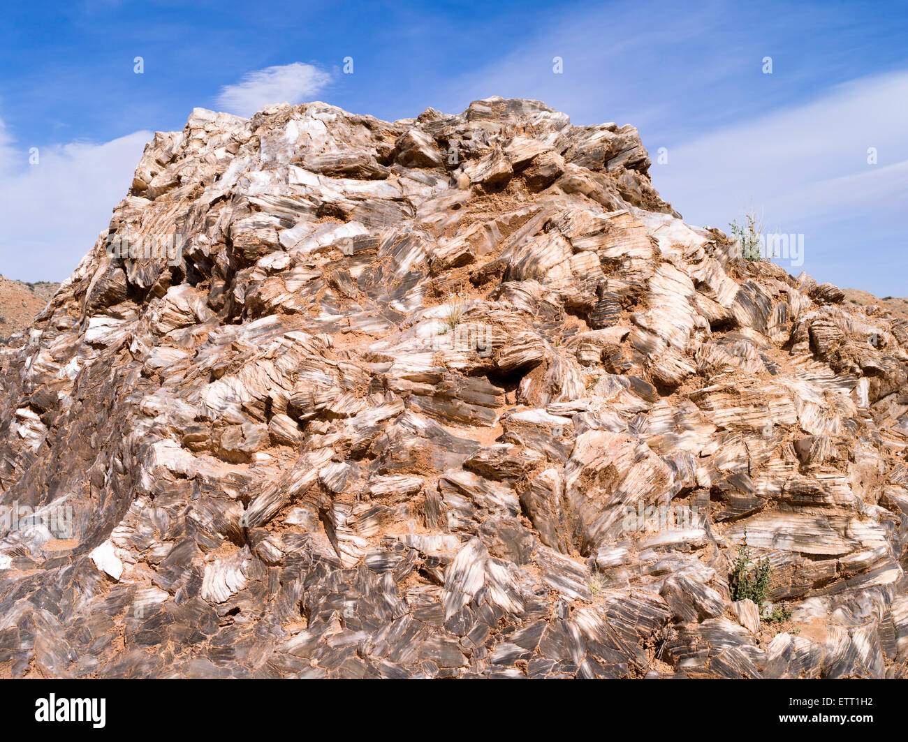 Close-up image of selenite crystals (gypsum, calcium sulfate) at Glass ...