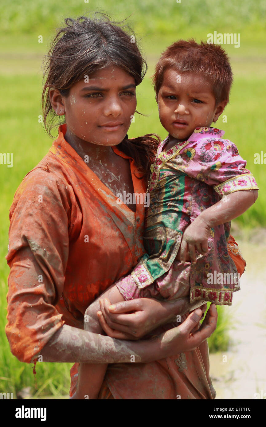 Pakistani farmers busy in sapling the rice for paddy nursery of rice ...