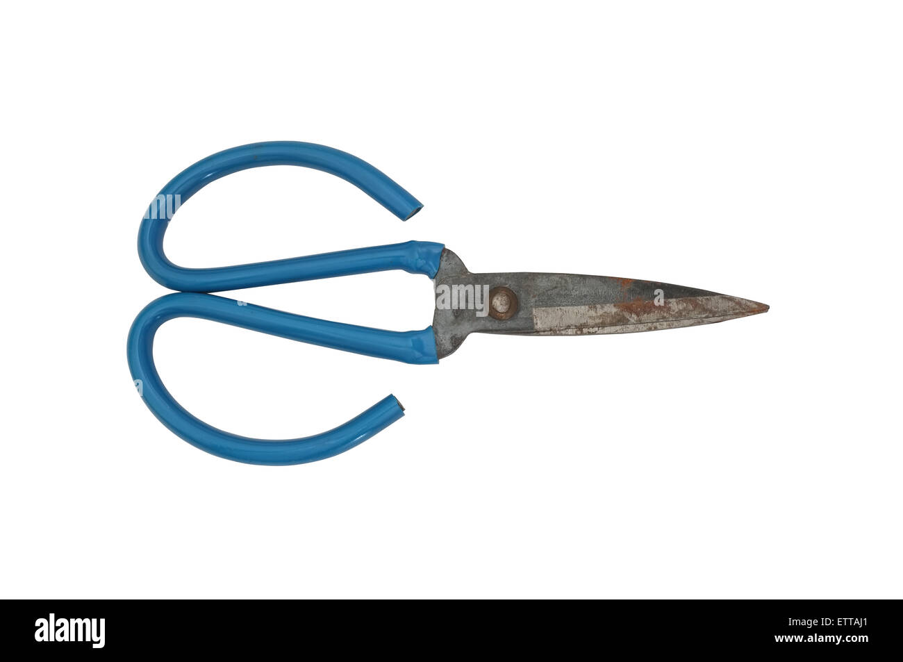 Rusty blue rubber handles scissors isolated on white background Stock ...