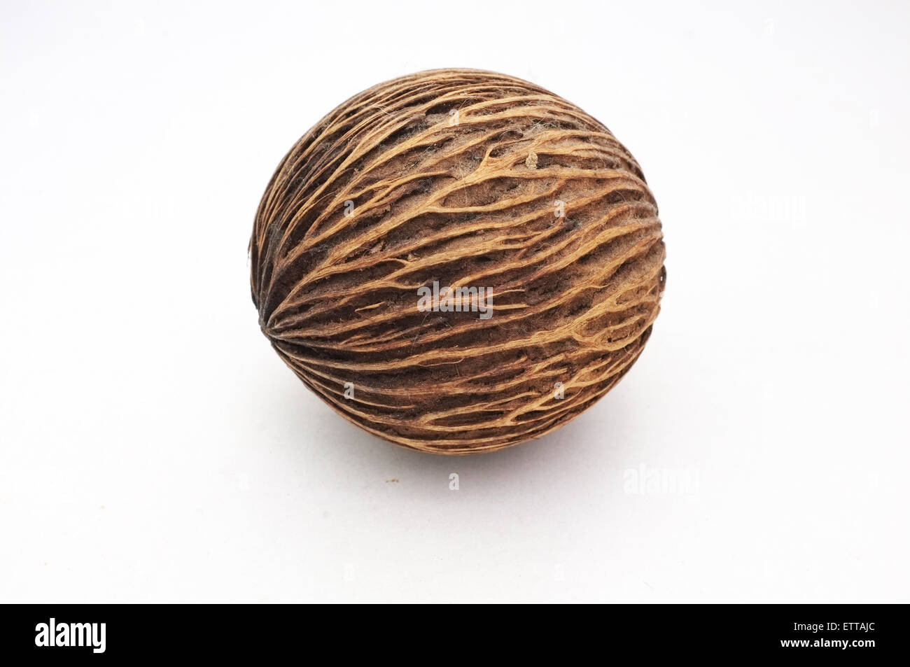 Black mango tree hi-res stock photography and images - Alamy