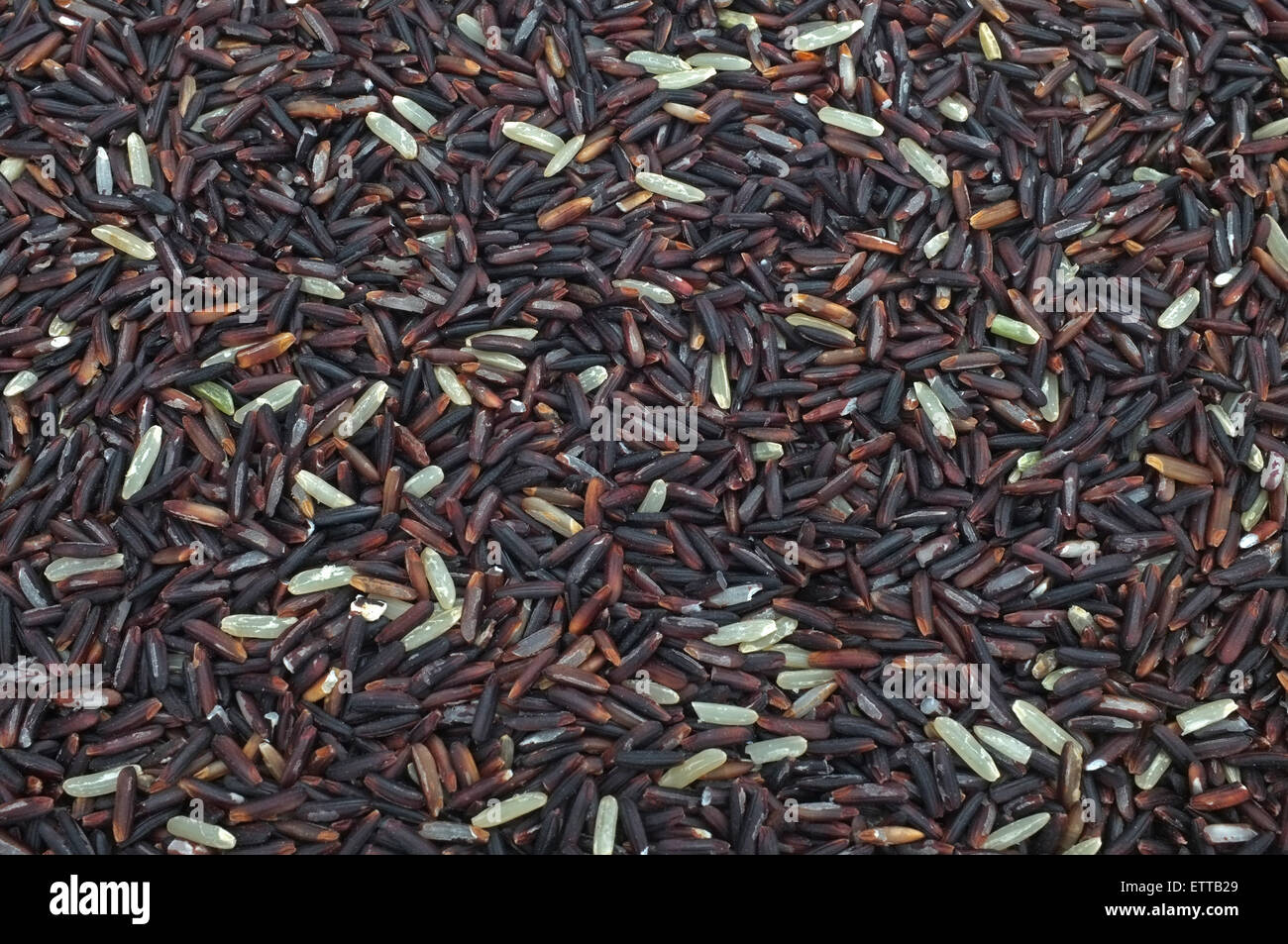 Black rice field hi-res stock photography and images - Alamy