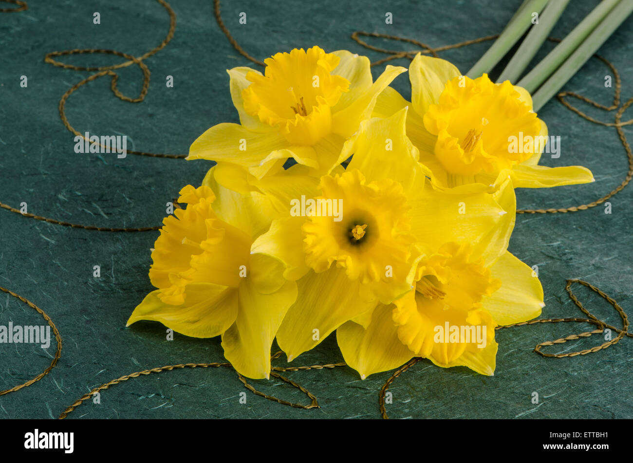 Yellow jonquil flowers on green background Stock Photo - Alamy