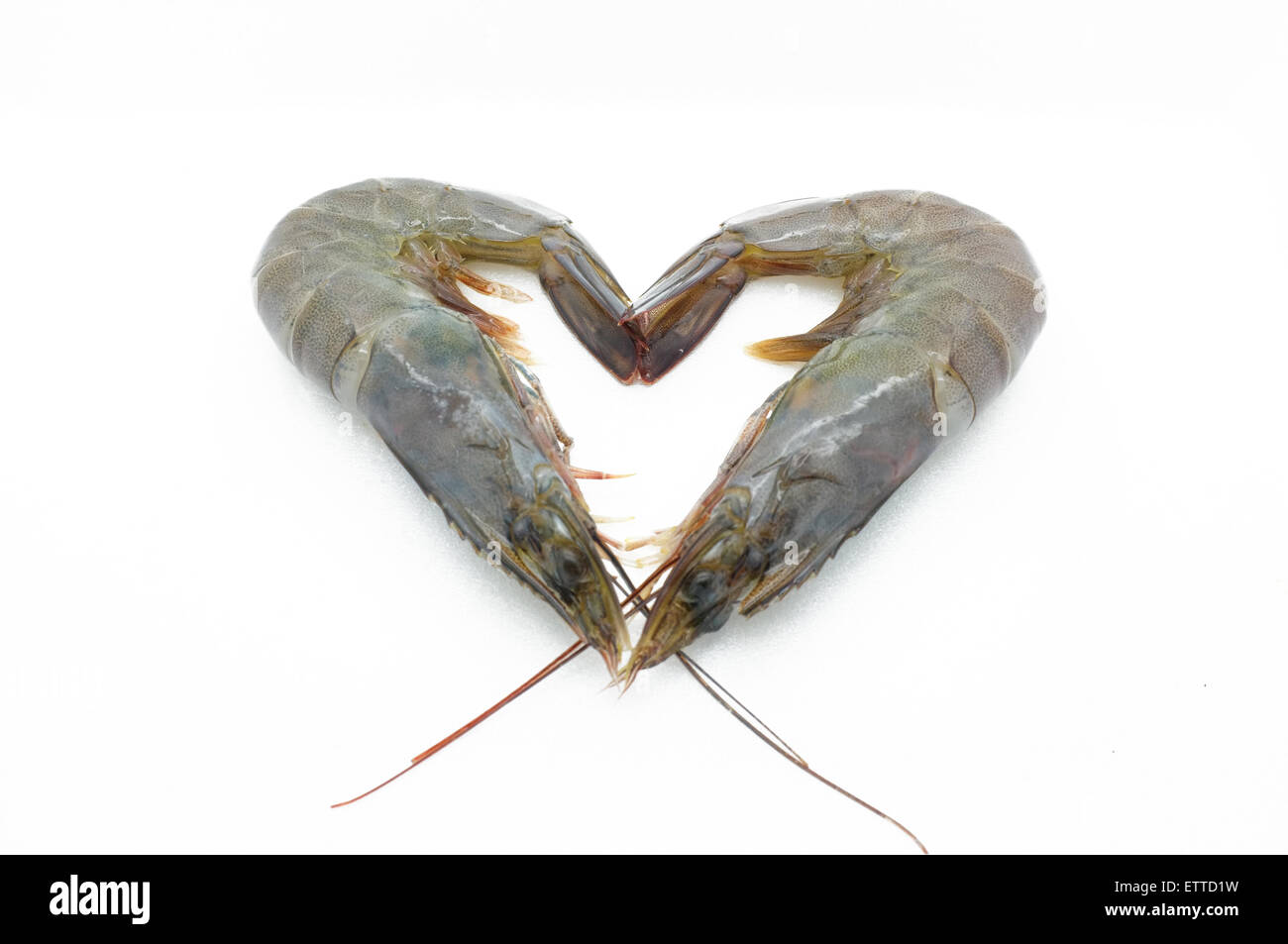 Raw / fresh shrimp / prawn / seafood / shellfish Stock Photo - Alamy