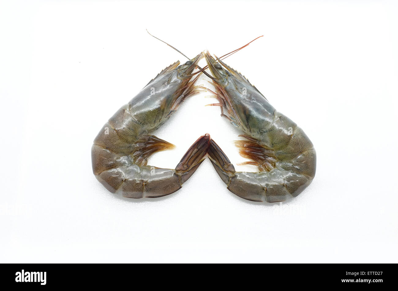 Raw / fresh shrimp / prawn / seafood / shellfish Stock Photo - Alamy