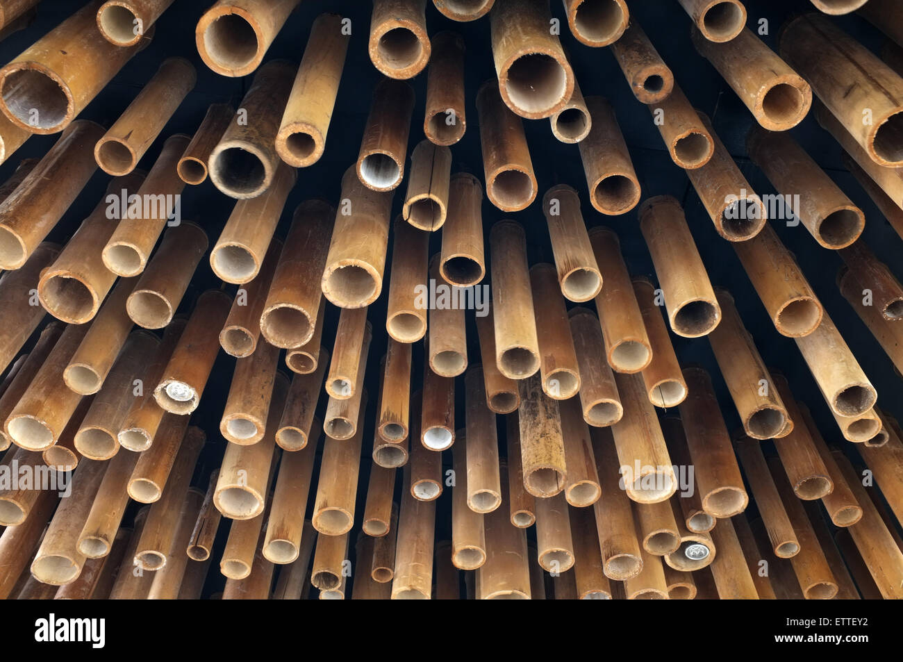 Cross section of wood floor hi-res stock photography and images - Alamy