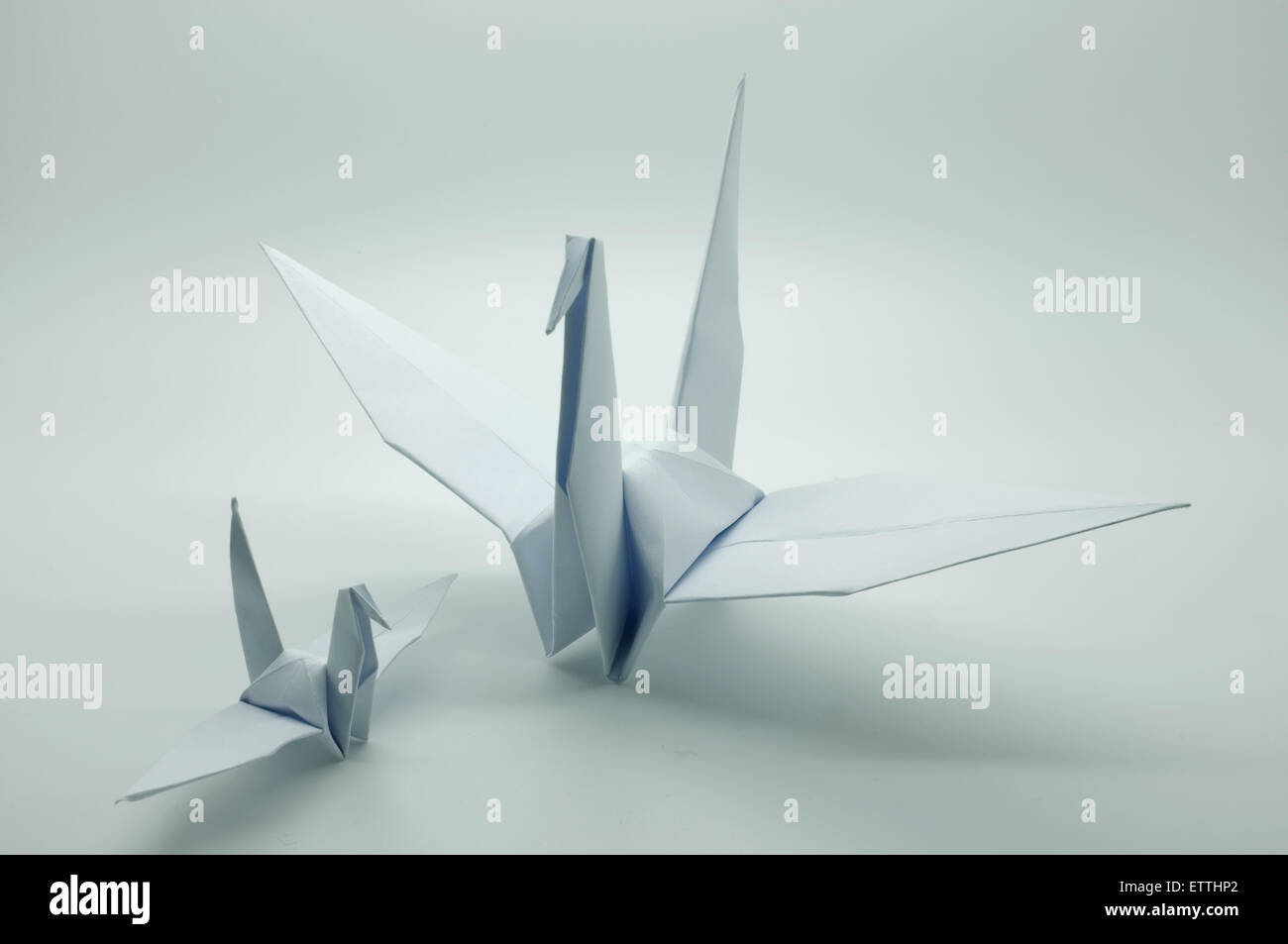 White paper bird hi-res stock photography and images - Alamy