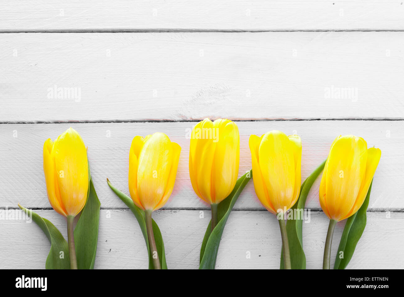 Floral frame yellow blooming hi-res stock photography and images - Alamy