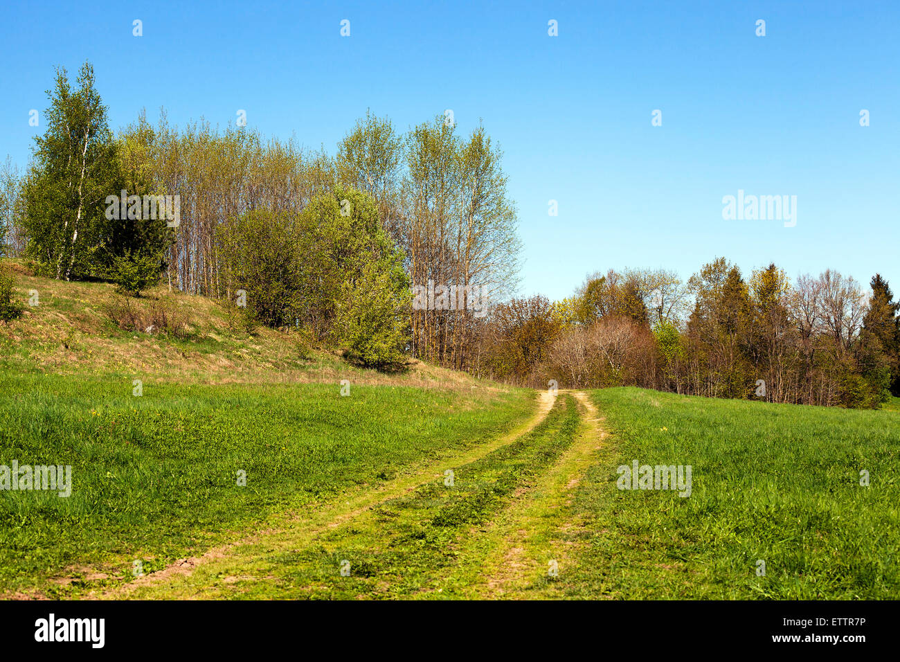 the rural road Stock Photo - Alamy